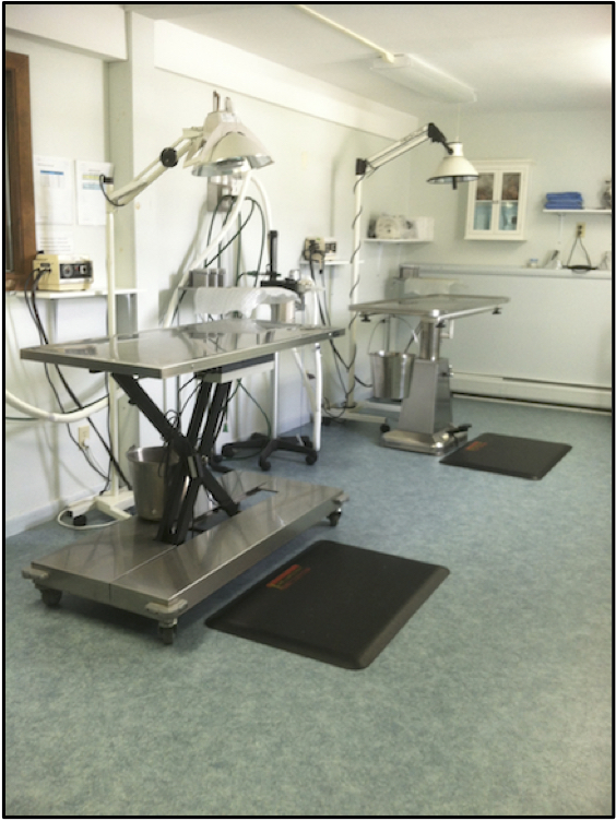 Surgical Ergonomics: setting up the physical space | ergovet