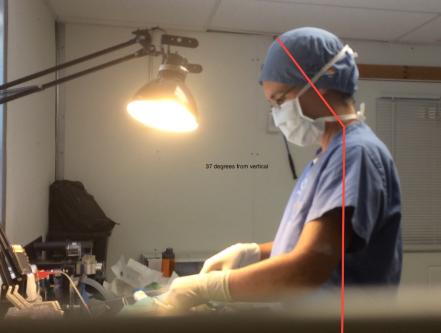 Vision in surgery | ergovet