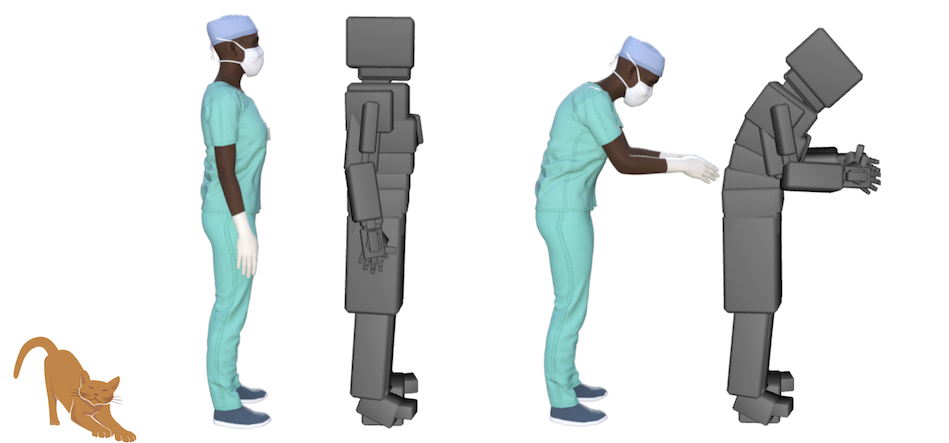 The Ergonomics of Postures and Positions | ergovet
